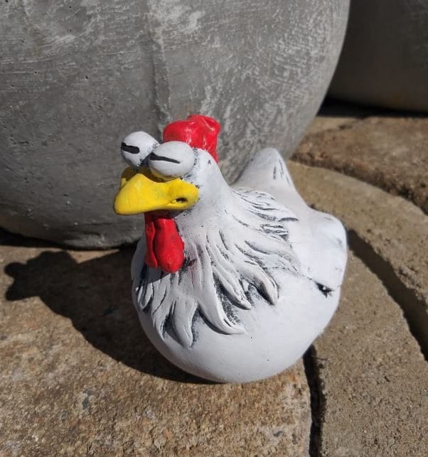 Chicken - Cement - Pebbles and Pots